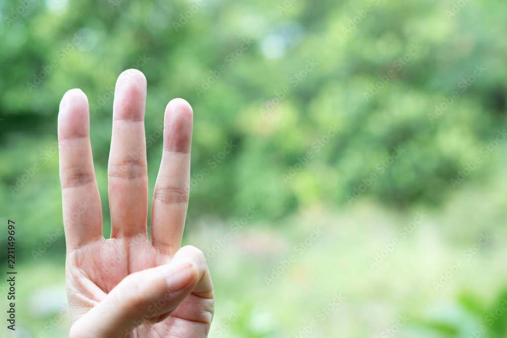 People hold three fingers in nature with copy space for swearing symbol ...
