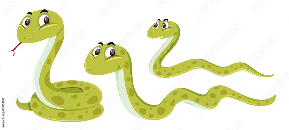 Snake with different position Stock Vector | Adobe Stock