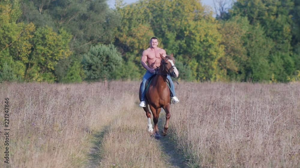 A man with a powerful physique with a bare torso rides a horse from the ...