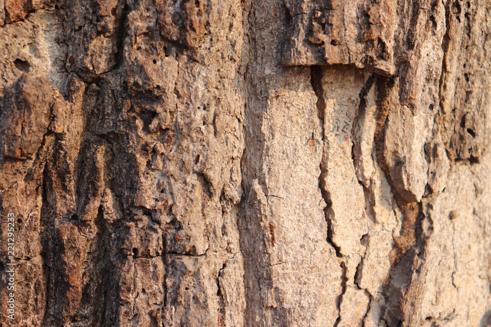 Wood or natural wood texture and brown rough natural wood background ...