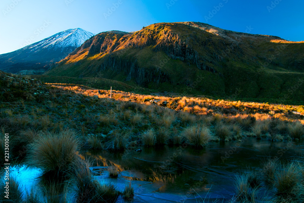 Ice cold morning in the wild nature, sunrise blue hour, frozen waters ...