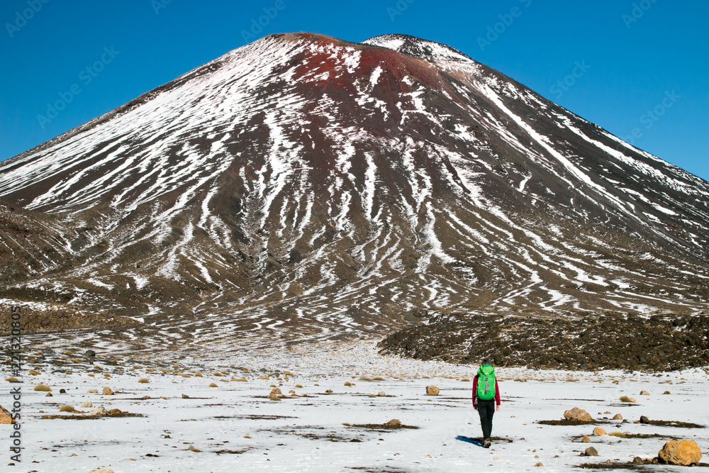 Rear view of the traveler and mountain tramper walking towards the ...