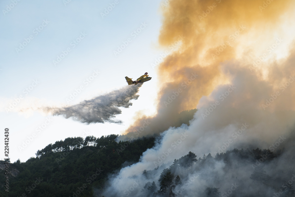 Aerial firefighting with Canadair plane on a big wildfire. Firemen on a ...