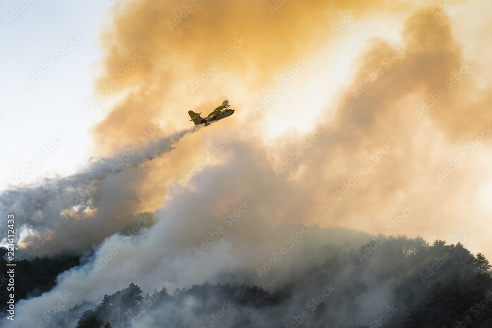 Aerial firefighting with Canadair plane on a big wildfire. Firemen on a ...