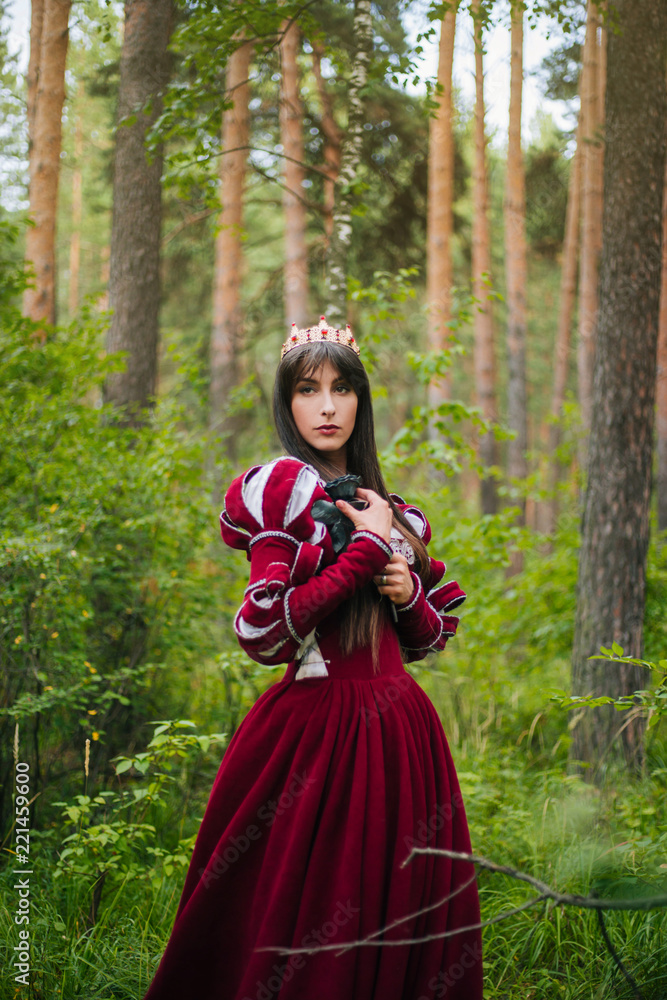 Medieval Fairy Tale Princess