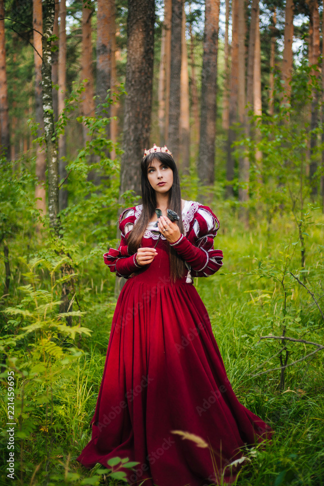 Medieval Fairy Tale Princess