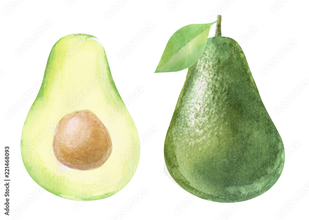 avocado, watercolor hand-drawn drawing of a fruits, isolated ...