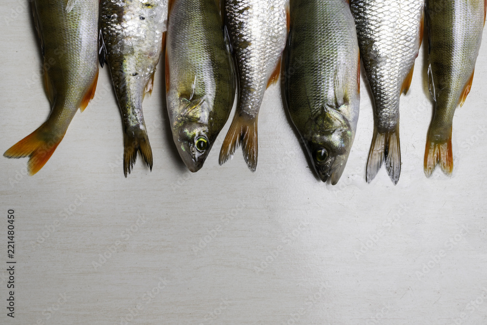 Fish river roach and red sea bream isolated on white background ...