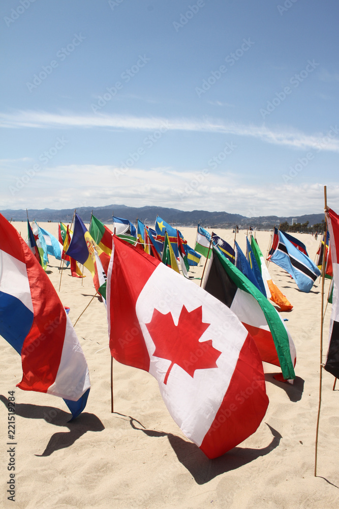 Multiculturalism Flags