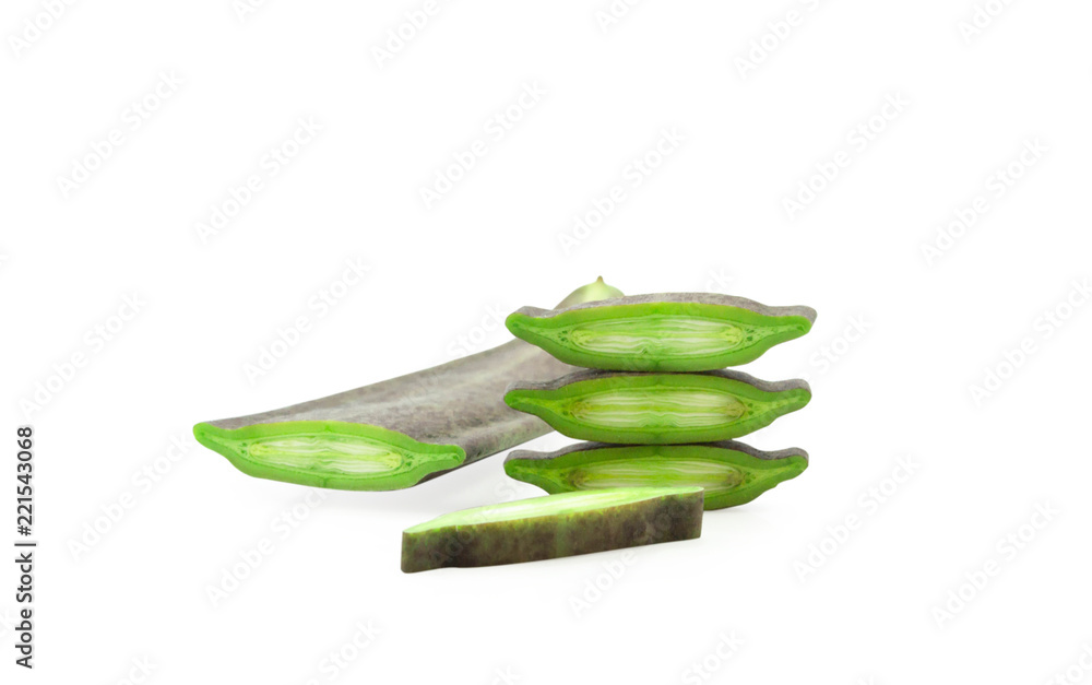 Broken Bone tree,Damocles tree isolated on white background. Stock ...