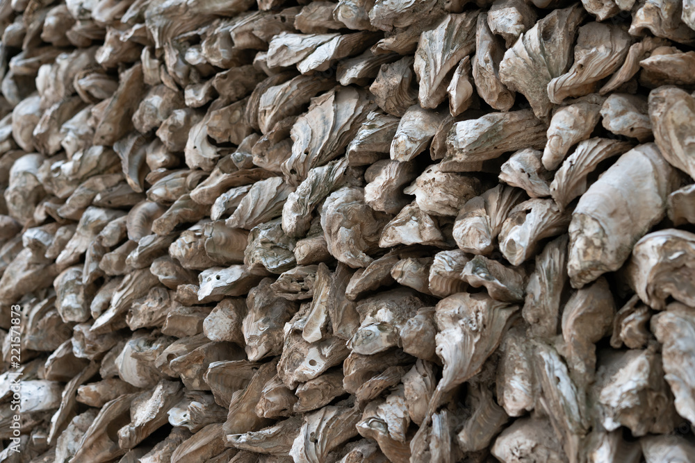 side view wall made of oyster shells as background and texture Stock ...