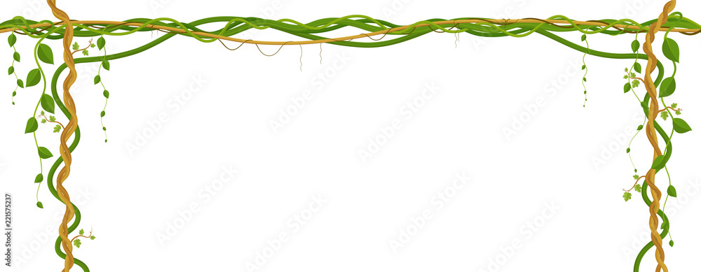 Jungle Vines Vector