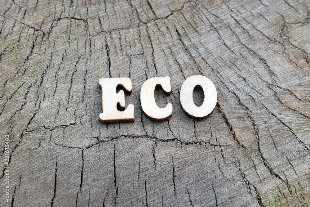The word ECO is made up of wooden letters on the old stump. The concept ...