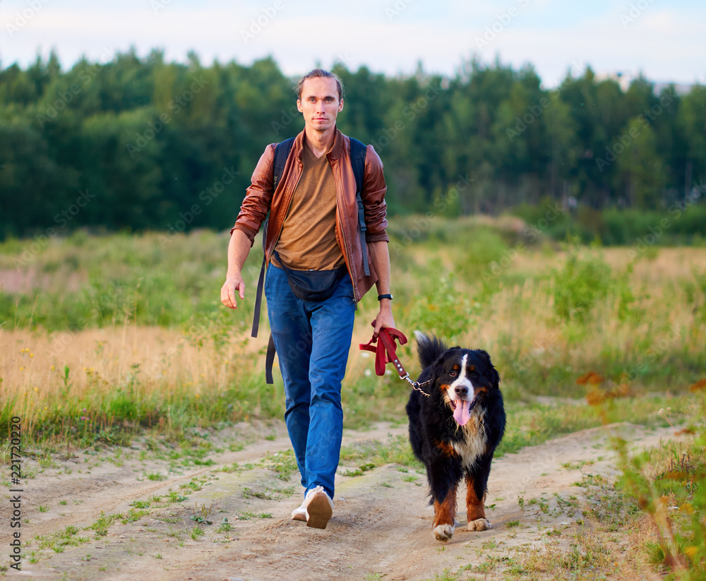 Dog walking in nature. the guy is walking with a big dog on the road ...