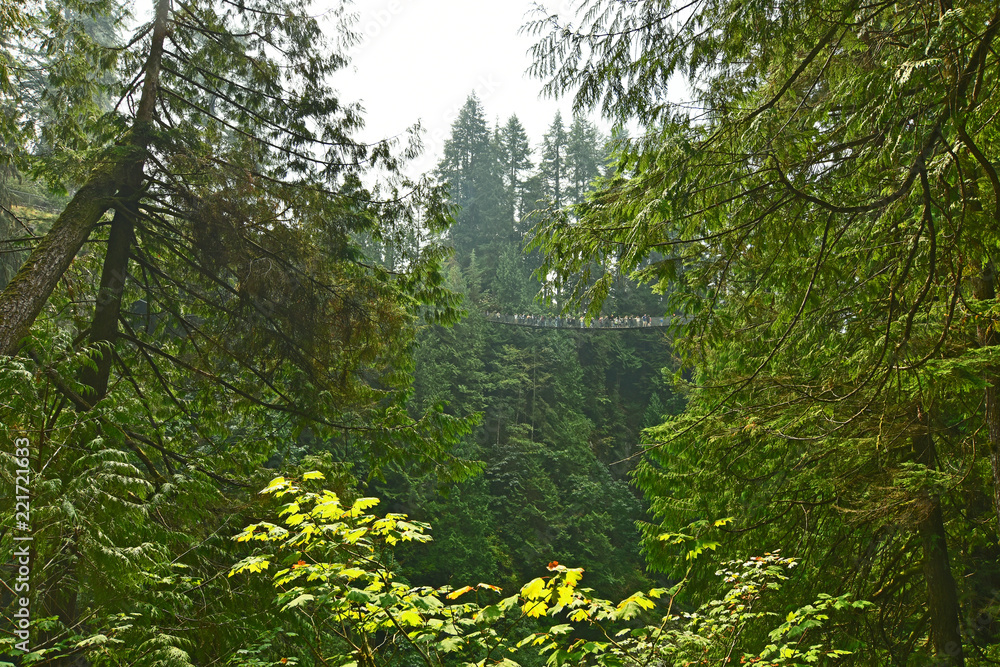 Side view of the Capilano Suspension Bridge with lots of people on it ...