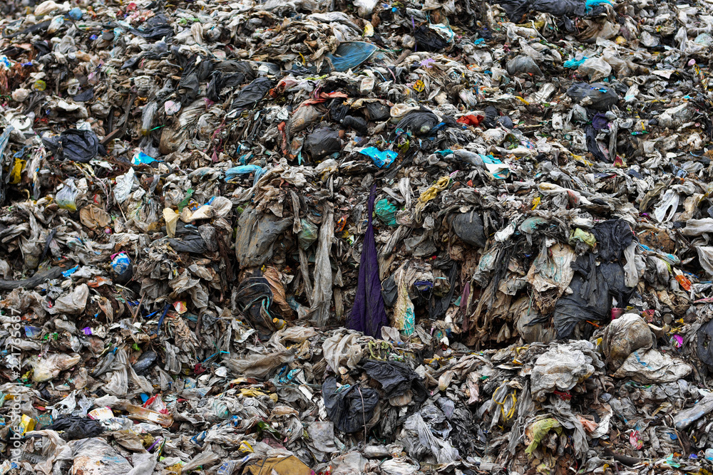 Garbage from debris that is degraded Removal of the waste will increase ...