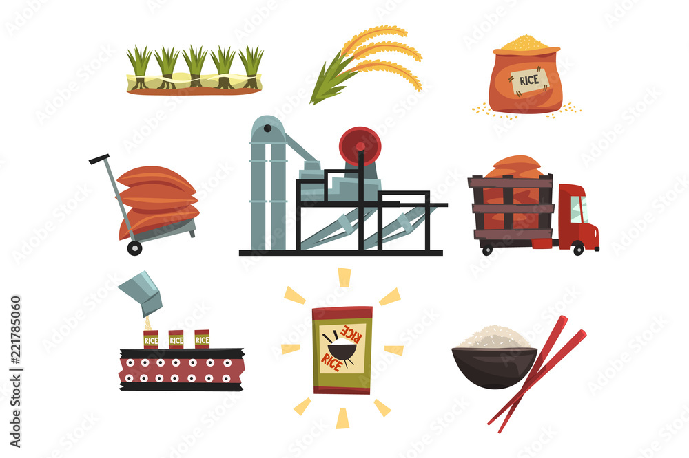 Infographic template of rice production from cultivation to finished ...