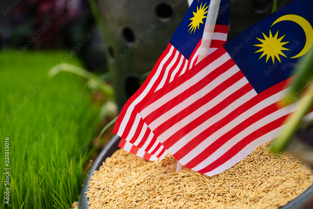Rice is a food staple for Malaysia which is celebrate 61st of ...
