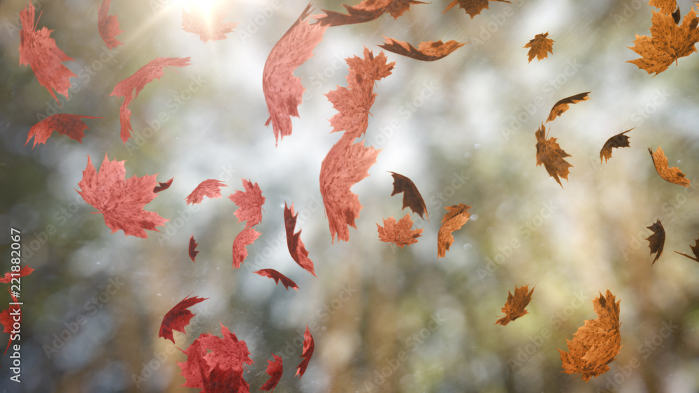 Autumn Background Loops Stock Template | Adobe Stock