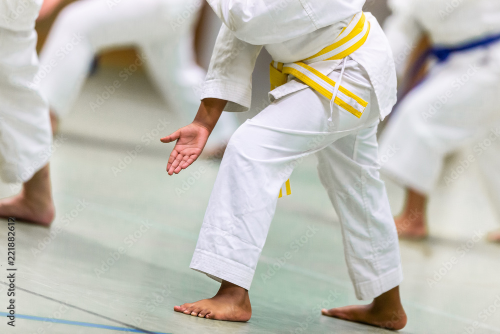 Karate Shotokan Kata Stock Photo | Adobe Stock