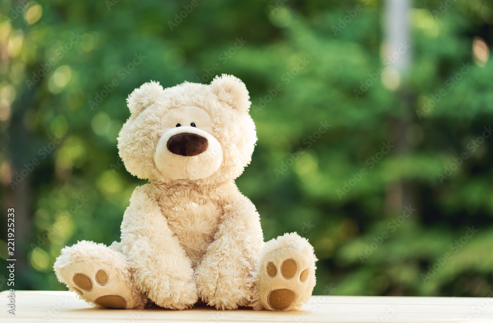 A teddy bear on a shiny green forest background Stock Photo | Adobe Stock