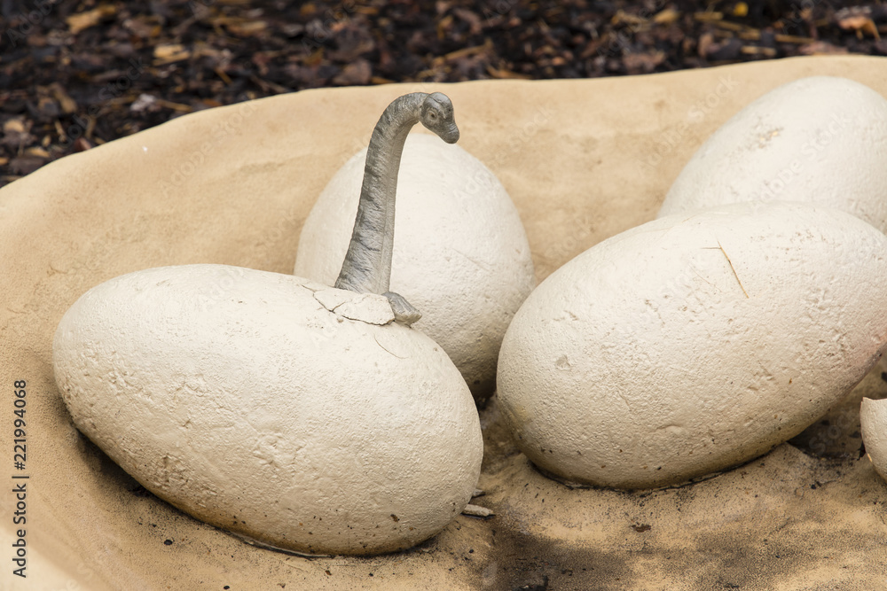 Brontosaurus baby born from an egg figurine. Stock Photo | Adobe Stock