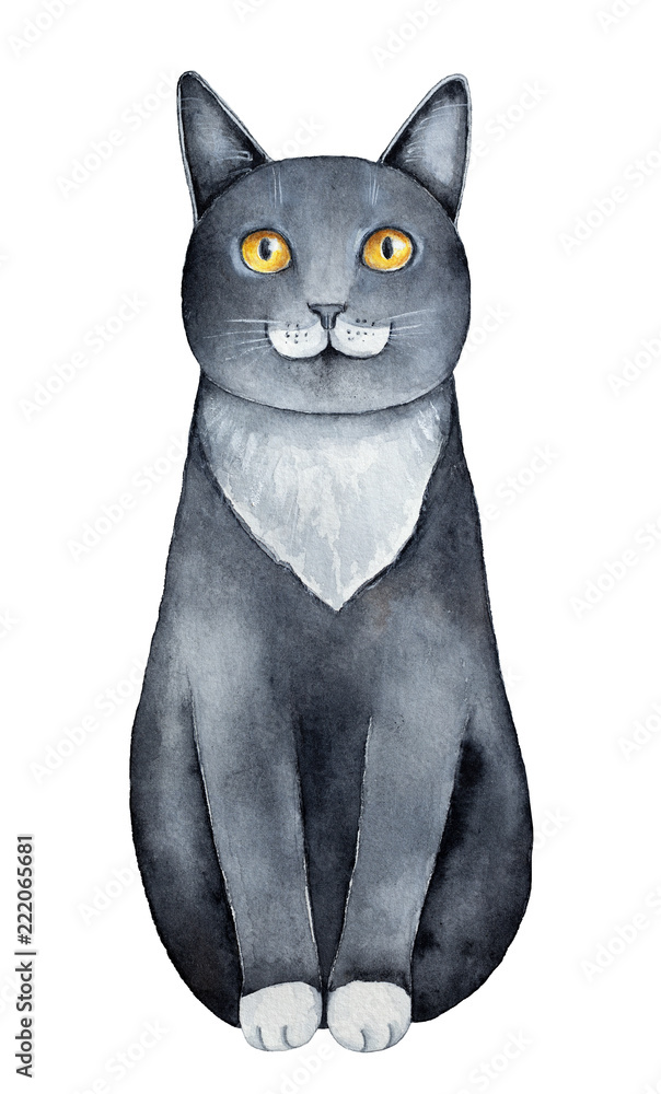 Sitting Cat Front Drawing