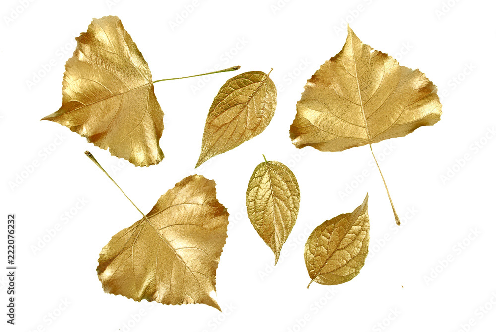 set of gold leaves. Christmas decoration. gold leaf. Stock Photo ...