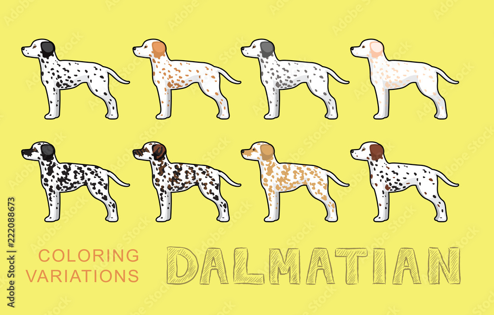 Dog Dalmatian Coloring Variations Vector Illustration Stock Vector ...