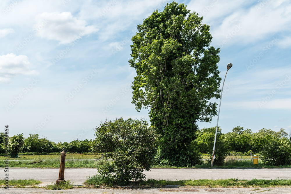 alte, schiefe Straßenlaterne und schiefer Brunnen neben geradem Strauch ...