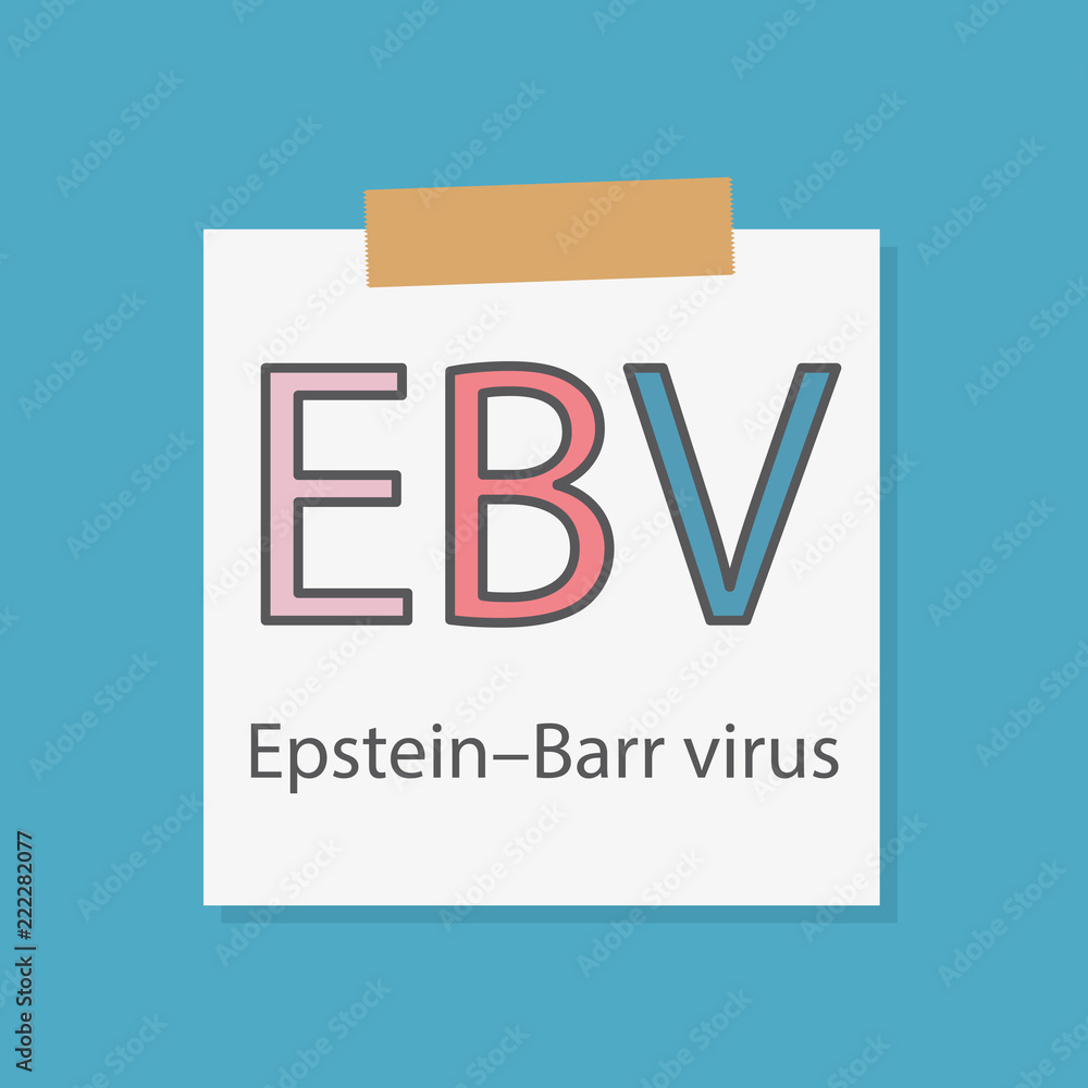 EBV Epstein–Barr virus written in a notebook paper- vector illustration ...