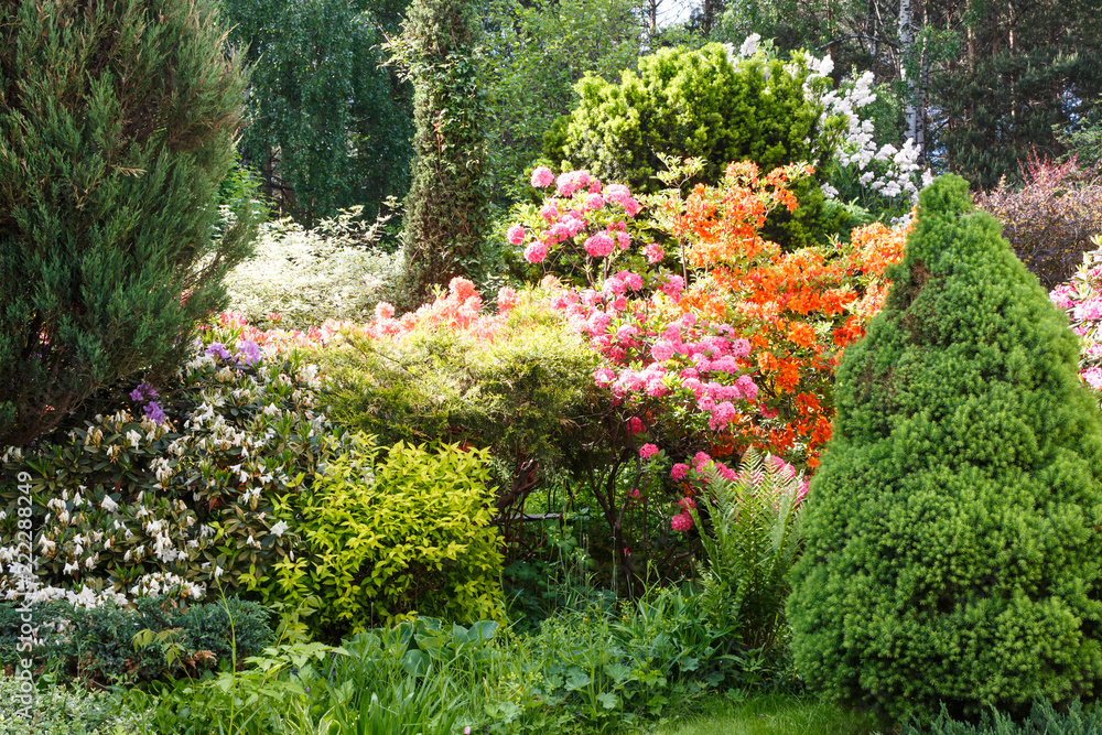 Decorative Shrubs And Trees | Shelly Lighting