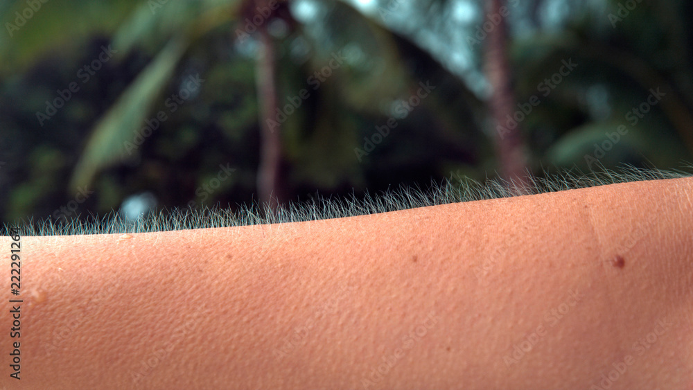 MACRO, DOF: Unknown adult person twists their arm to show their ...