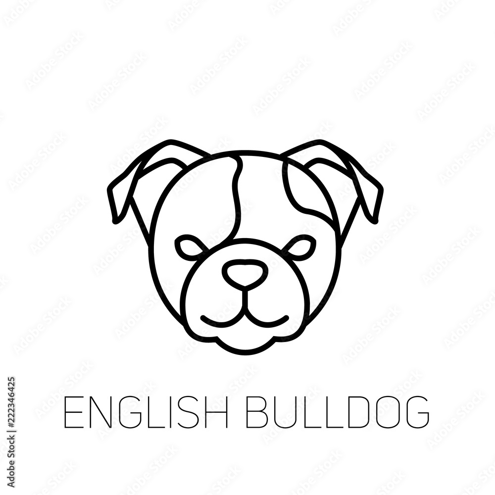 English bulldog linear face icon. Isolated outline dog head vector ...