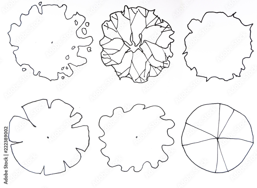 top view set graphic trees.for architecture and landscape design. for ...