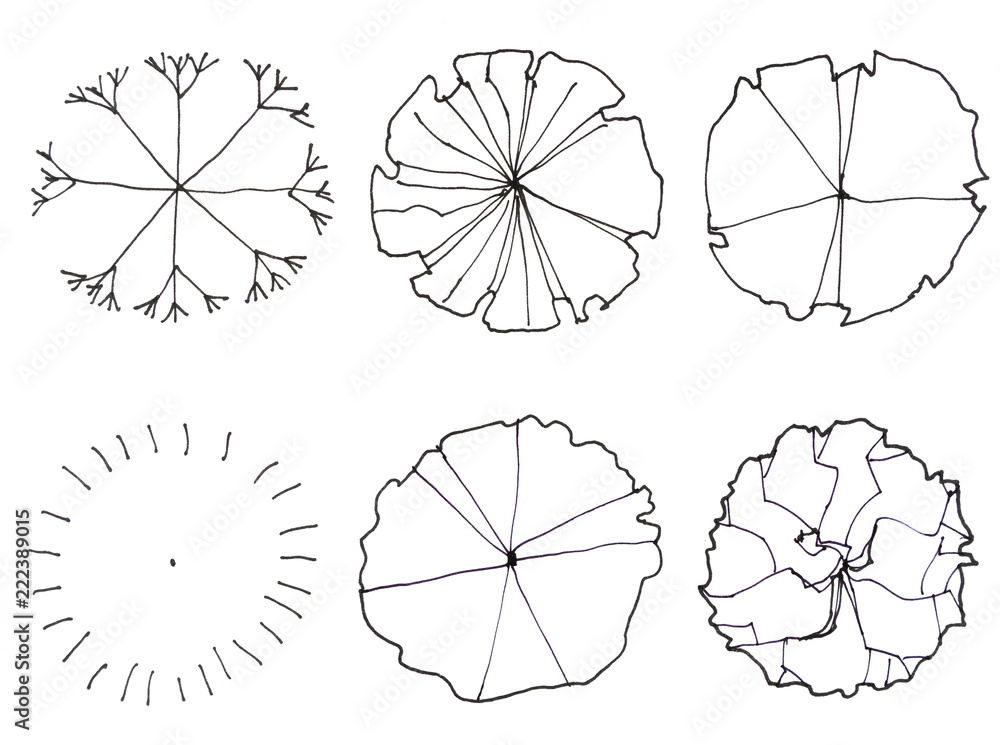 top view set graphic trees.for architecture and landscape design. for ...