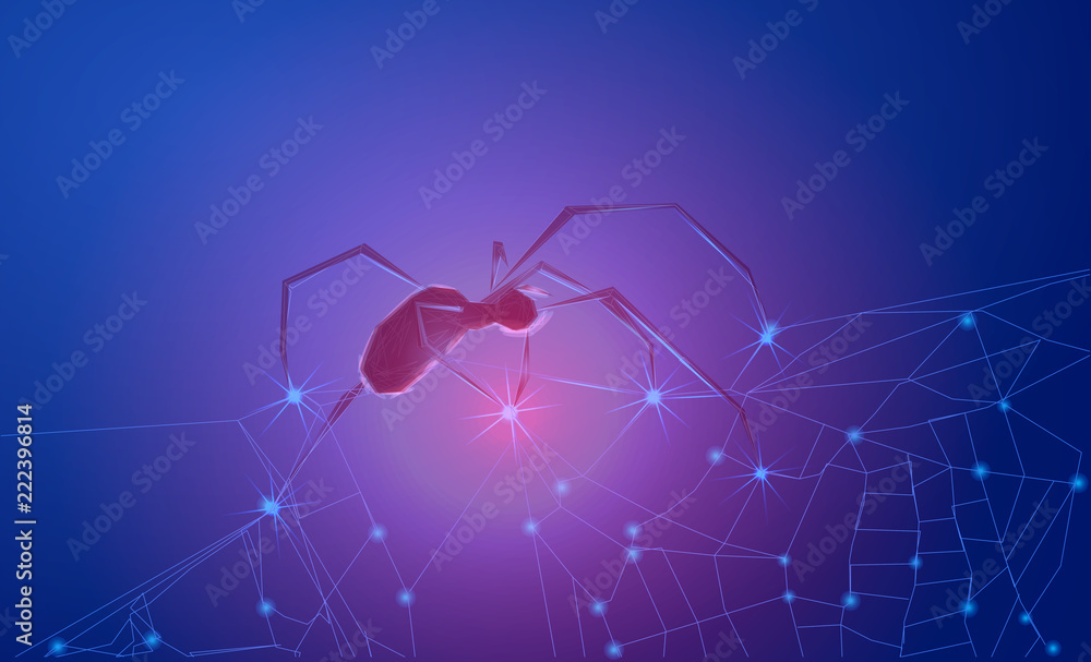 Spider and torn web. Abstract image of a starry sky or space ...