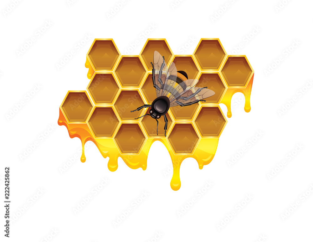 Honey Bee Design