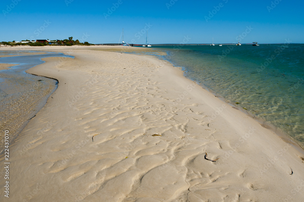 Sandbar in Monkey Mia - Western Australia Stock Photo | Adobe Stock