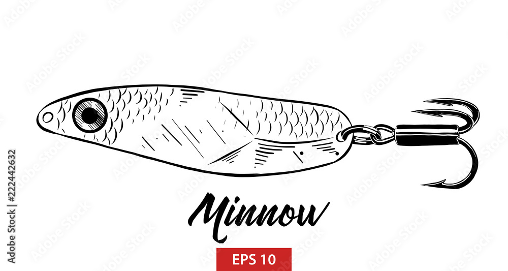Minnow Drawing