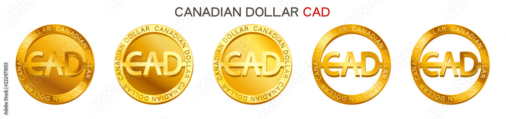 Vector money Canadian Dollar sign (Canadian Dollar coin icon) isolated ...
