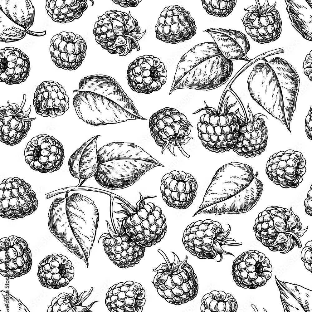 Raspberry seamless pattern. Vector drawing. Isolated berry branch ...