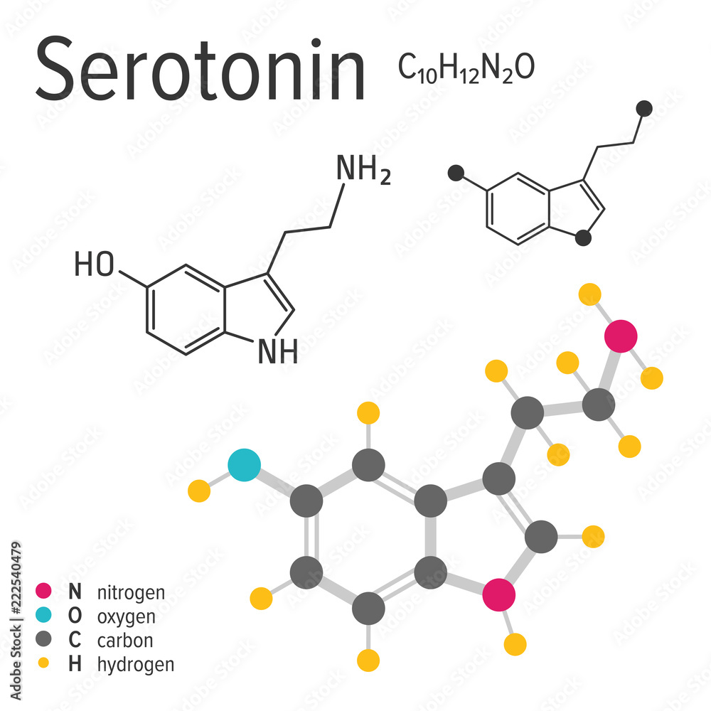 Chemical formula, structure and model of the serotonin molecule, vector ...