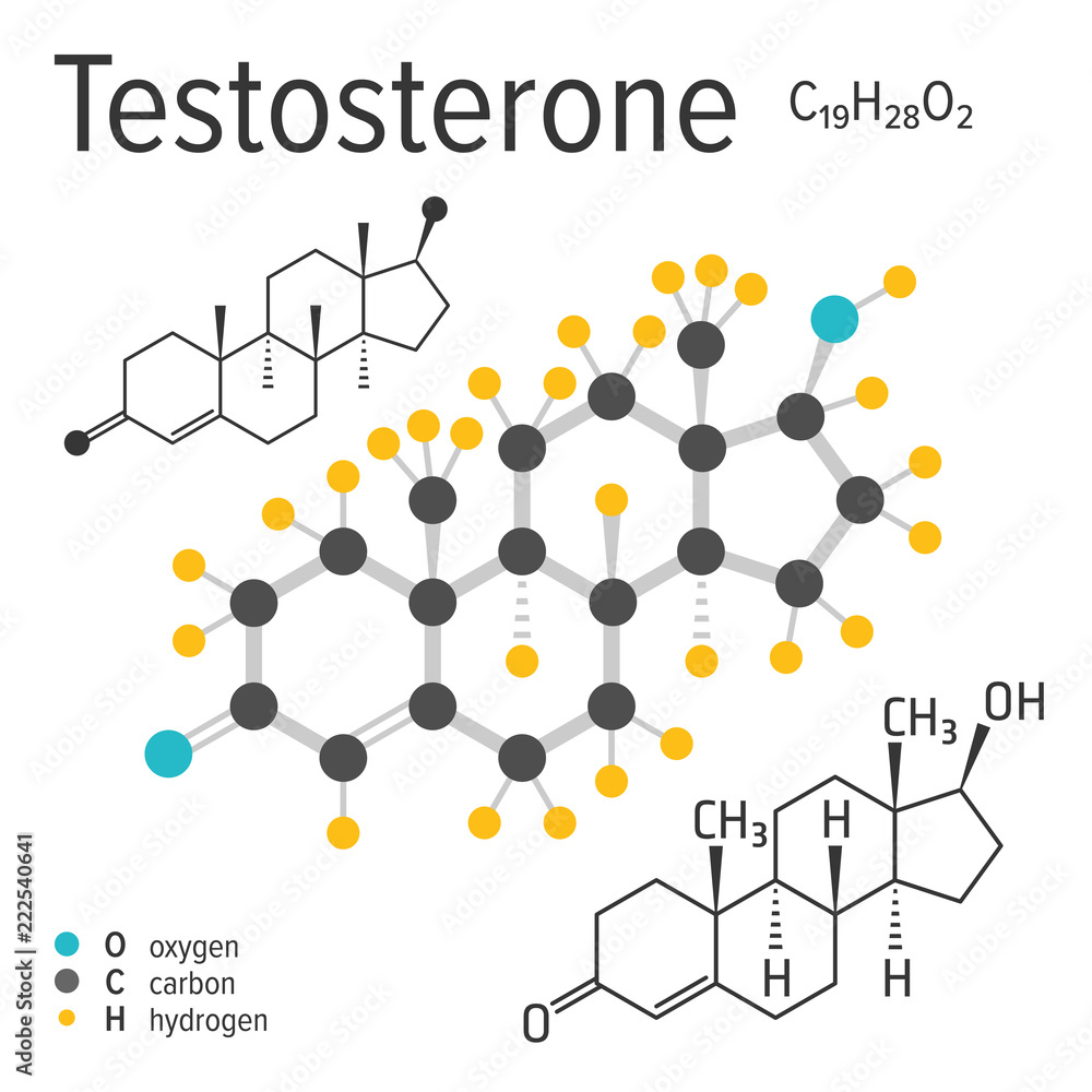 Chemical Formula Structure And Model Of The Testosterone Molecule