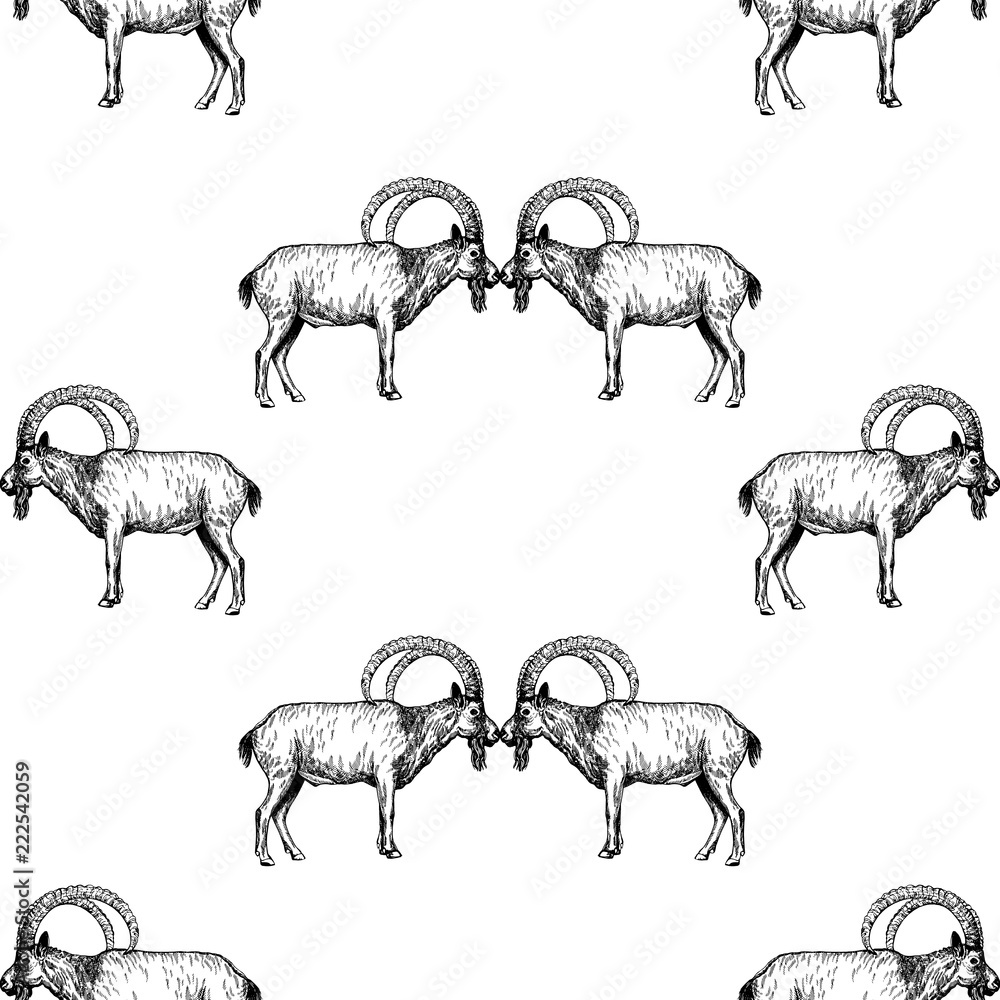 Seamless pattern of hand drawn sketch style mountain goats isolated on ...