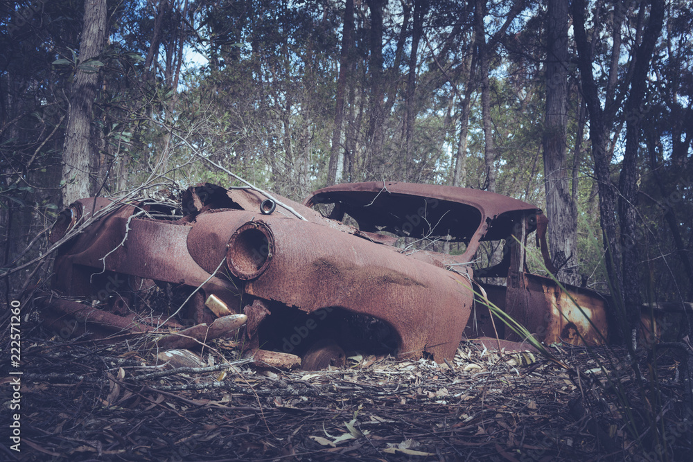 Rusty wrecked ute (truck) abandoned in the Australian bush Stock Photo ...