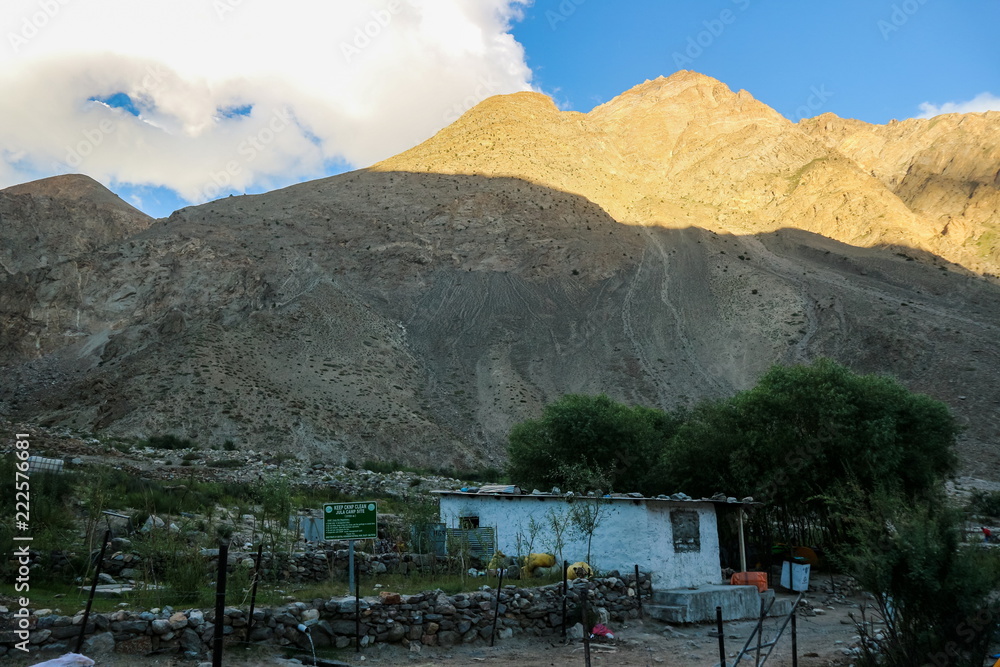 Oasis of green trees on the way to K2 base camp, Trekking along in the ...