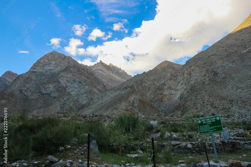 Oasis of green trees on the way to K2 base camp, Trekking along in the ...