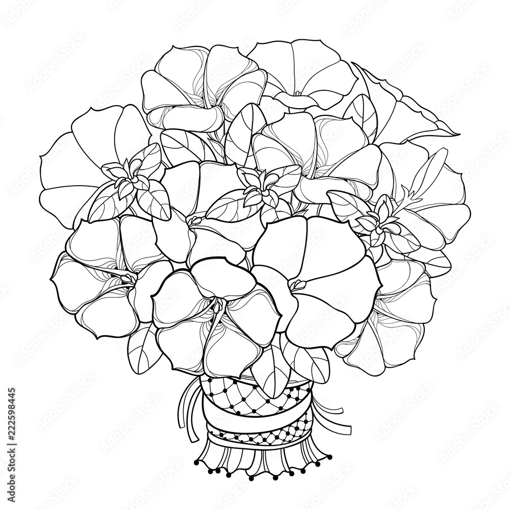 Vector bouquet with outline Petunia flower, ornate leaf and bud in ...