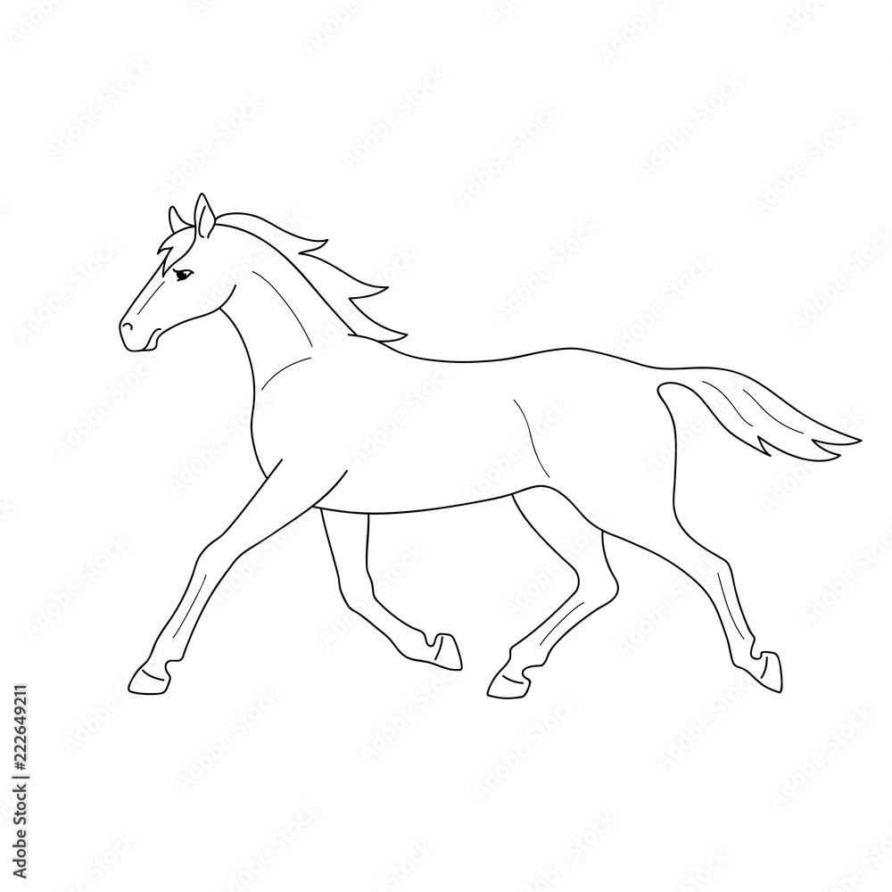 Horse Running Side View